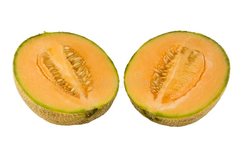 Australian rockmelon stock photo. Image of melon, nature - 1541330