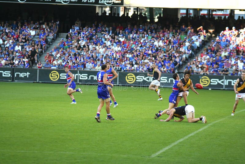 Afl Draw 2026 Stock Photos - Free & Royalty-Free Stock Photos from ...