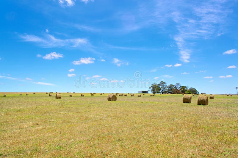 Australian Rural Field Landscape with Haystacks Stock Photo - Image of ...