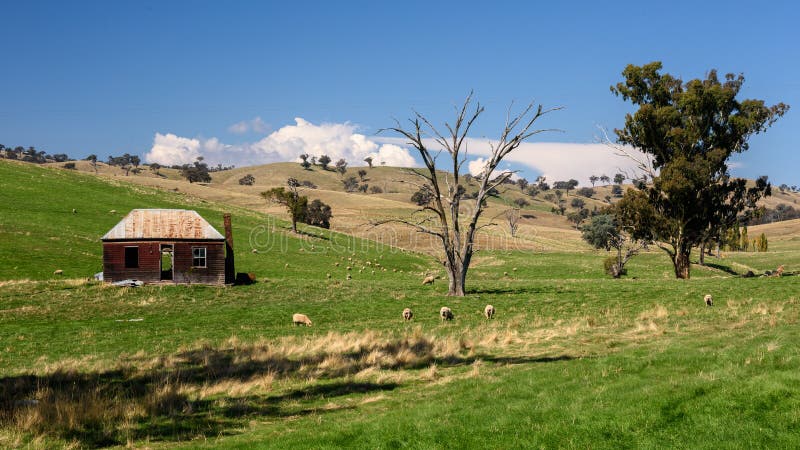 Australian Rural Landscape View Stock Photo - Image of scene ...
