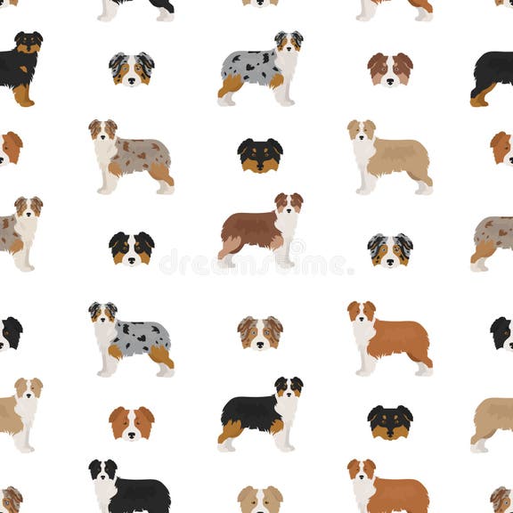Seamless Australian Shepherd Stock Illustrations – 119 Seamless ...