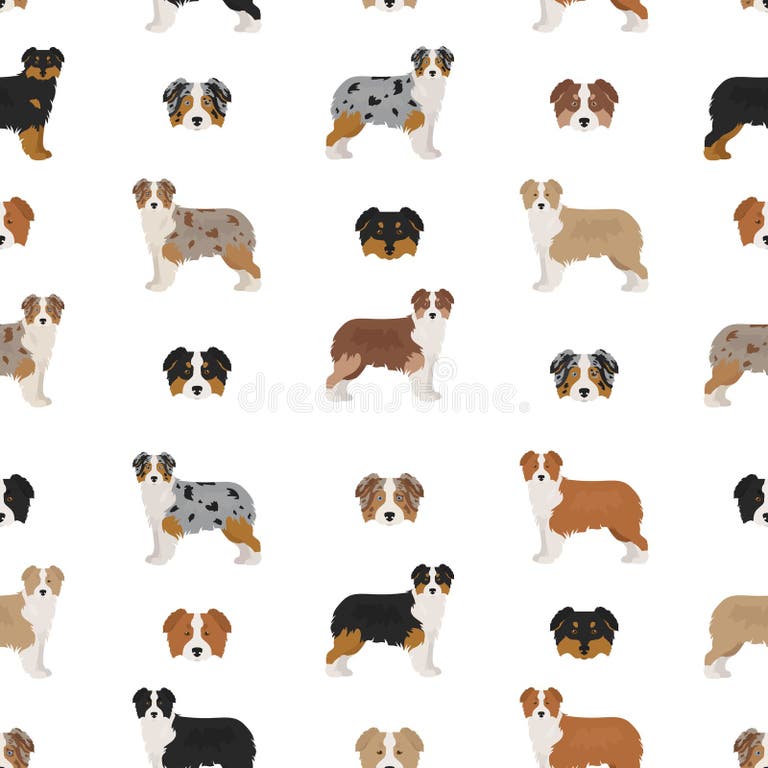 Australian Shepherd Seamless Stock Illustrations – 119 Australian ...
