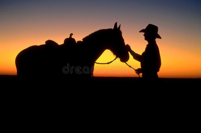 Cowboy in Australian Outback Stock Photo - Image of agriculture ...