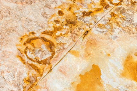 Australian stone texture stock photo. Image of marble - 28916056