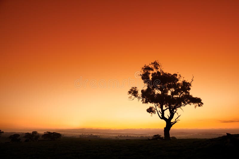 Australian Sunrise stock image. Image of field, scenic - 26924303