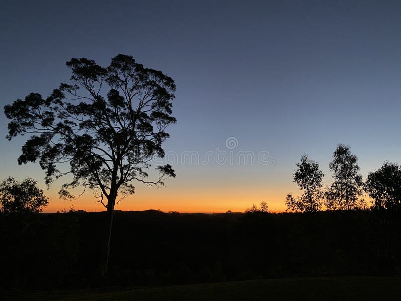 Australian Sunset stock photo. Image of sunset, bush - 247938408
