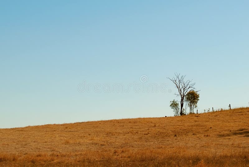 Australian Undulating Outback Winter Horizon Stock Photo - Image of ...