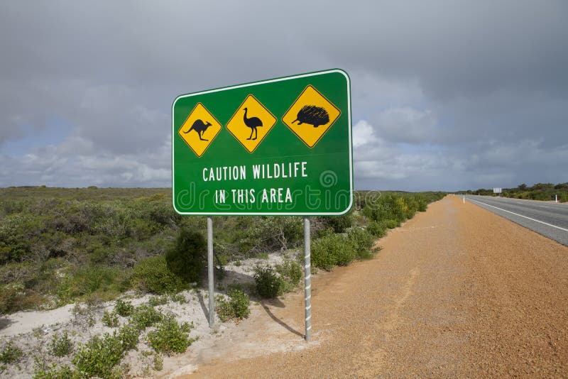 Australian Wildlife Road Sign Stock Image - Image of sign, australia ...