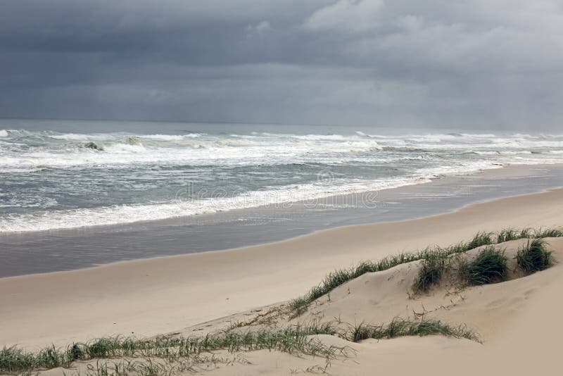 Australien - Strand Von Tasman-Meer Stockbild - Bild von australien ...