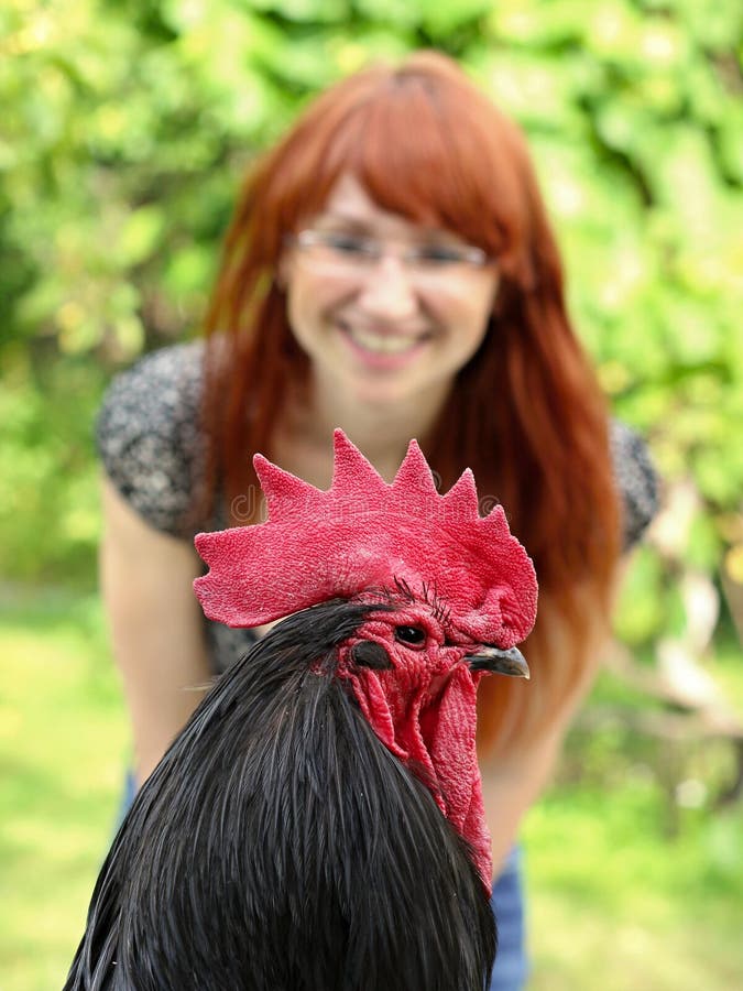 Australorp Rooster with Girl Stock Image - Image of woman, orpington ...