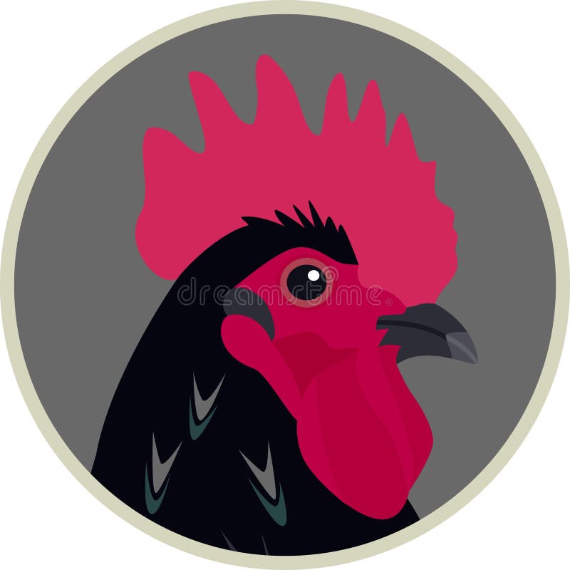 Australorp Rooster Icons Flat Vector Illustration Farming Breed of ...