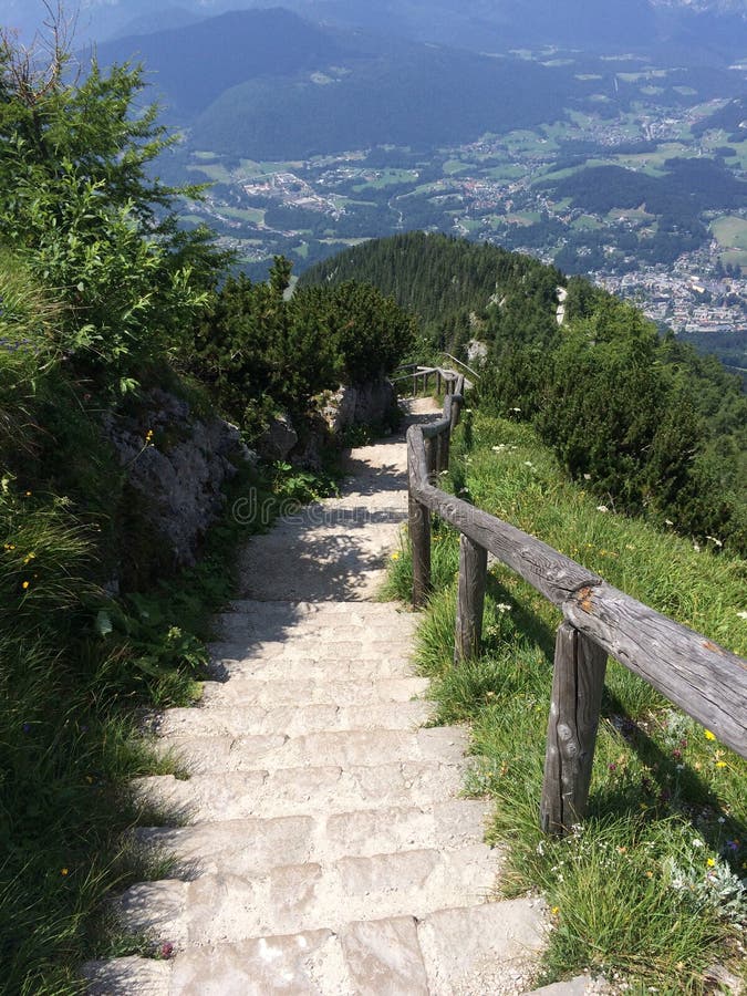 Austria hike stock photo. Image of tree, hike, meadow - 57996578