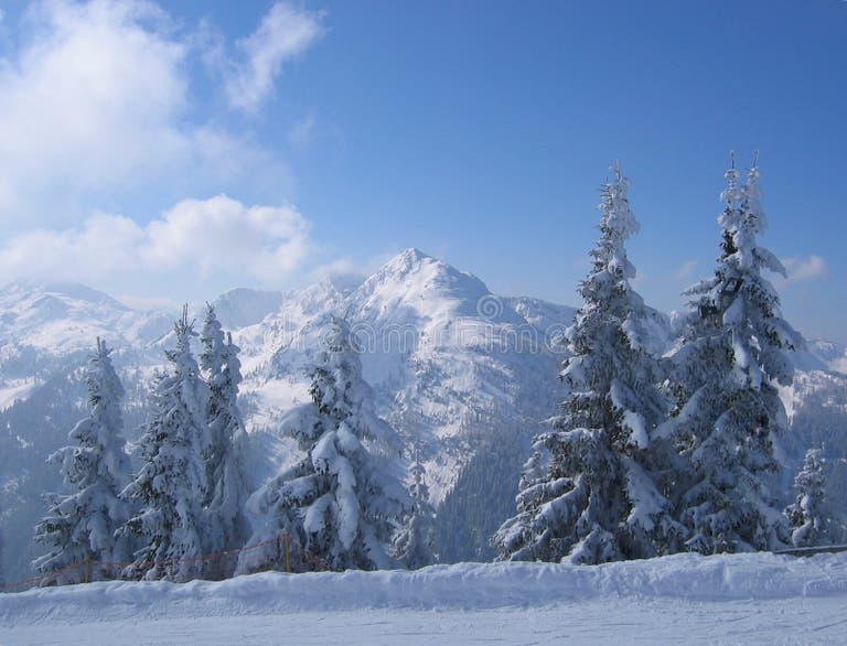 Austria / Winter scene stock photo. Image of hill, trees - 82482