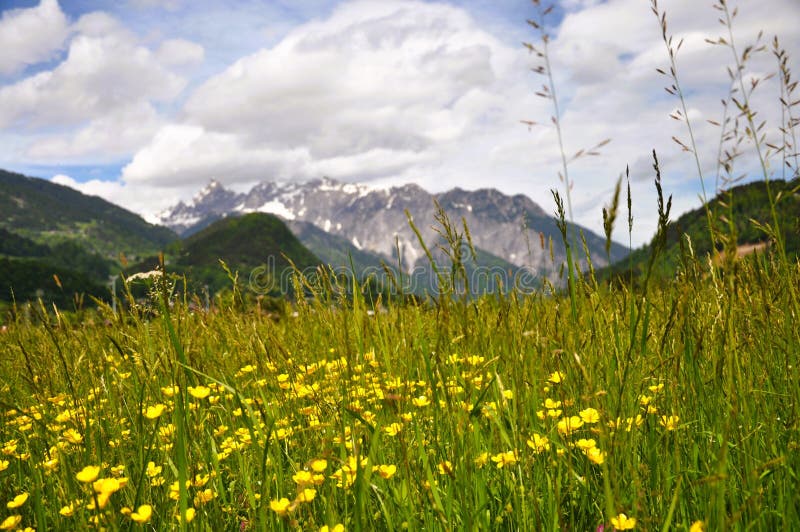Alpine Nature Photographed in Spring Time Stock Photo - Image of time ...
