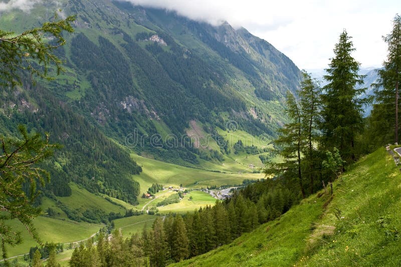 Austrian Alps in summer stock photo. Image of hill, tree - 9983026
