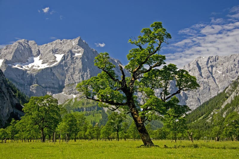 Austrian landscape stock image. Image of tourism, mountains - 15157177