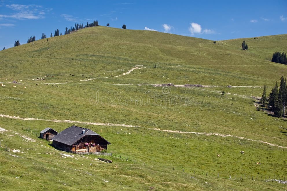 Austrian Pasture stock photo. Image of europe, hike, austria - 12600026