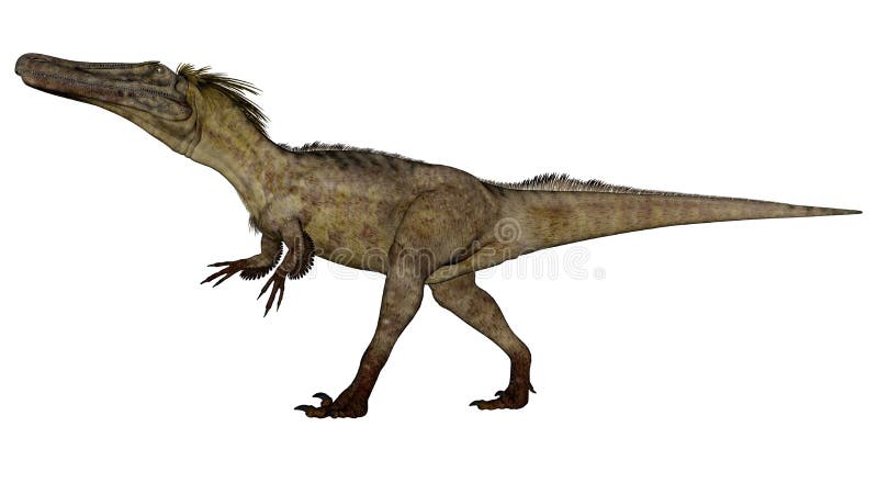 Austroraptor Dinosaur -3D Render Stock Illustration - Illustration of ...