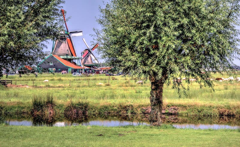 Authentic dutch landscape stock image. Image of summer - 88331959