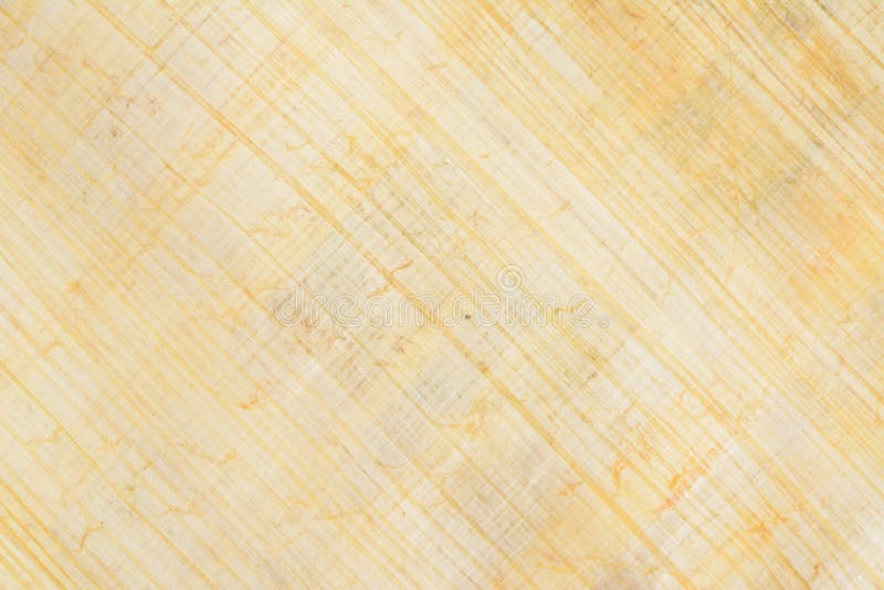 Authentic Egyptian Papyrus Paper, Diagonal Background and Texture 45 ...