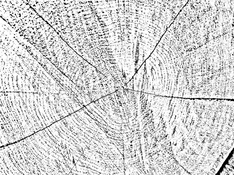 Authentic Grunge Texture of a Tree Cross-section with Cracks Stock ...