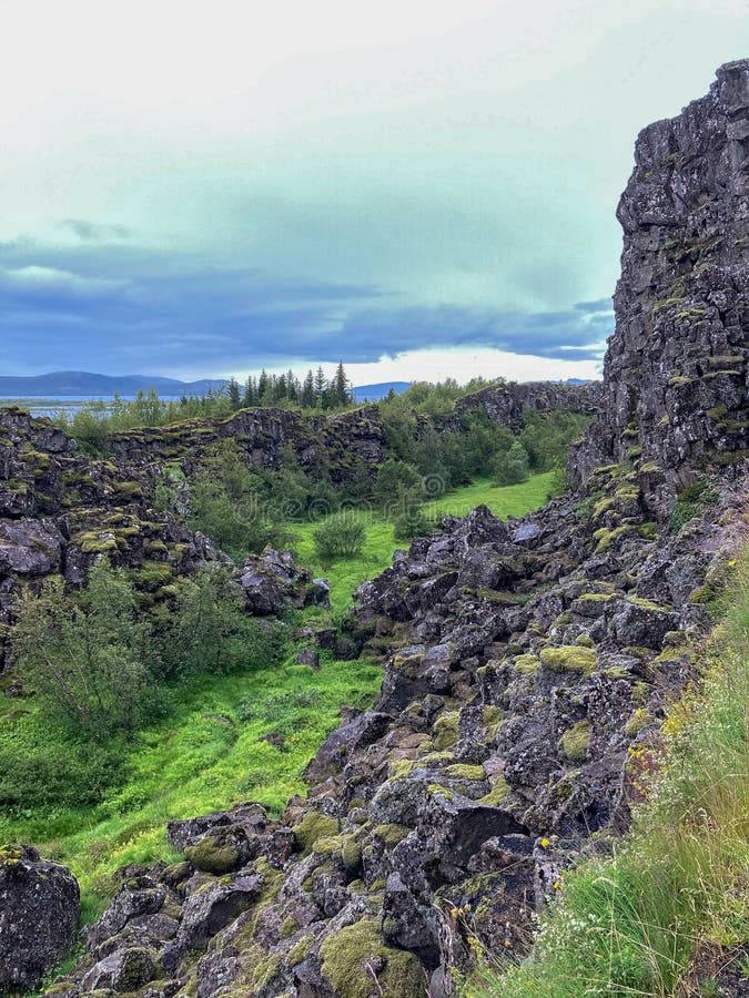 Authentic Landscape with Lava Rocks, Grass and Trees in Iceland Stock ...