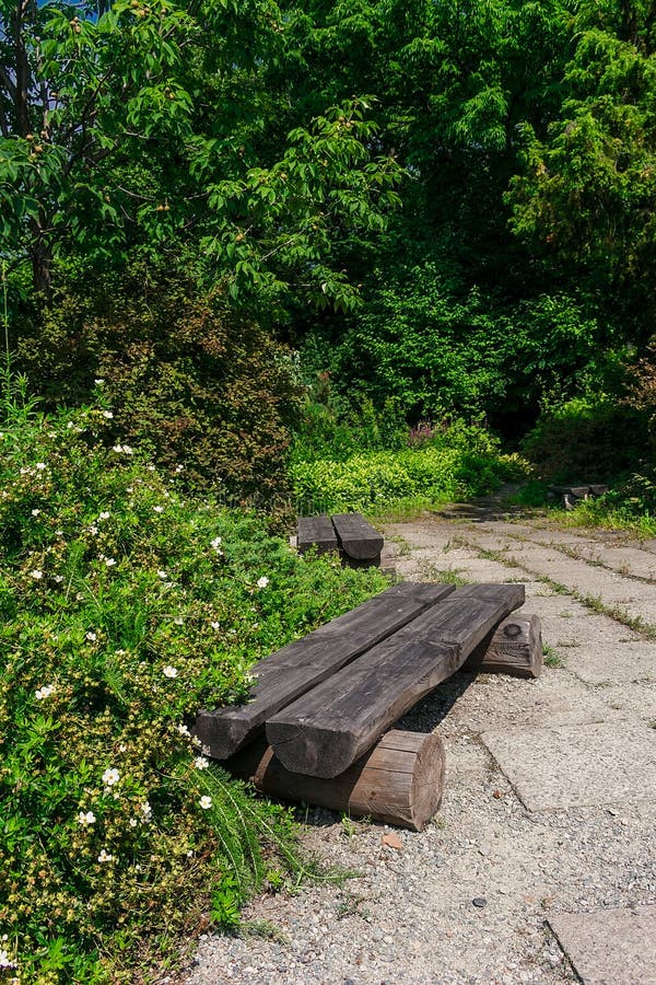 Authentic Log Bench in the Garden among Green Vegetation. Stock Image ...
