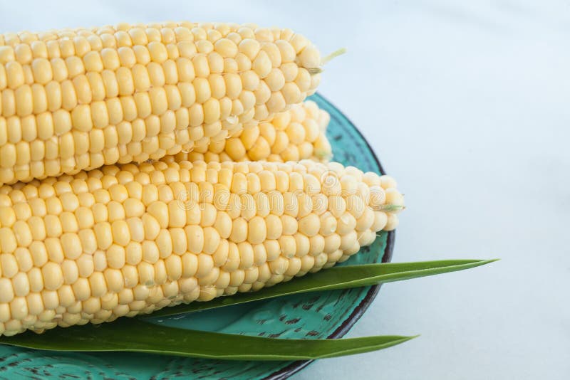 Authentic Organic Food. Corn Italian Delishes Stock Image - Image of ...