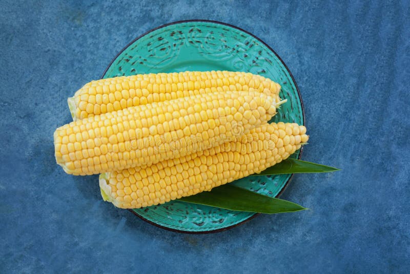 Authentic Organic Food. Corn Italian Delishes Stock Image - Image of ...