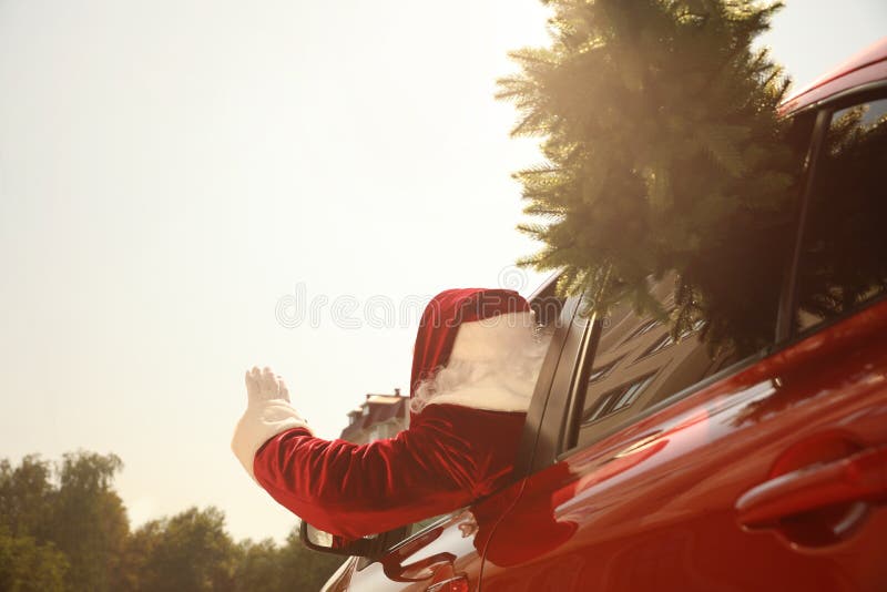 Authentic Santa Claus with Fir Tree Driving Modern Car Stock Photo ...
