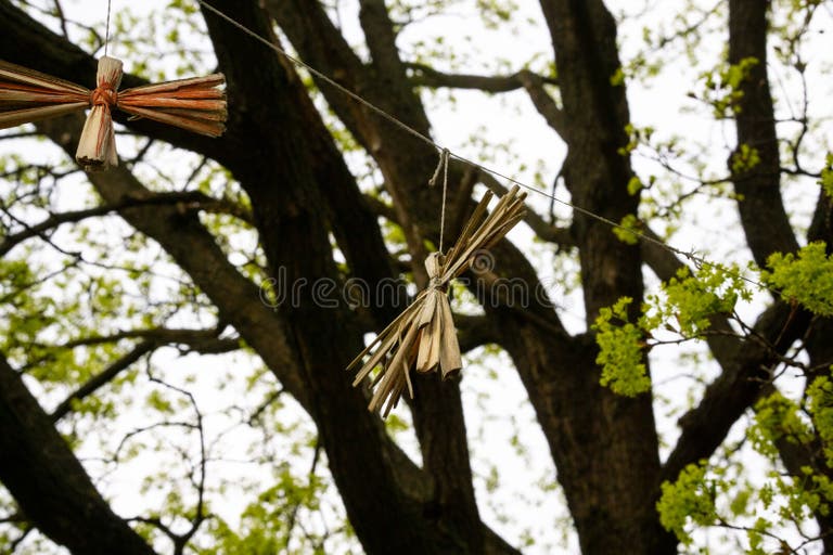 Authentic Straw Dolls Adorn Tree Branches with a Small Spring Leaf ...