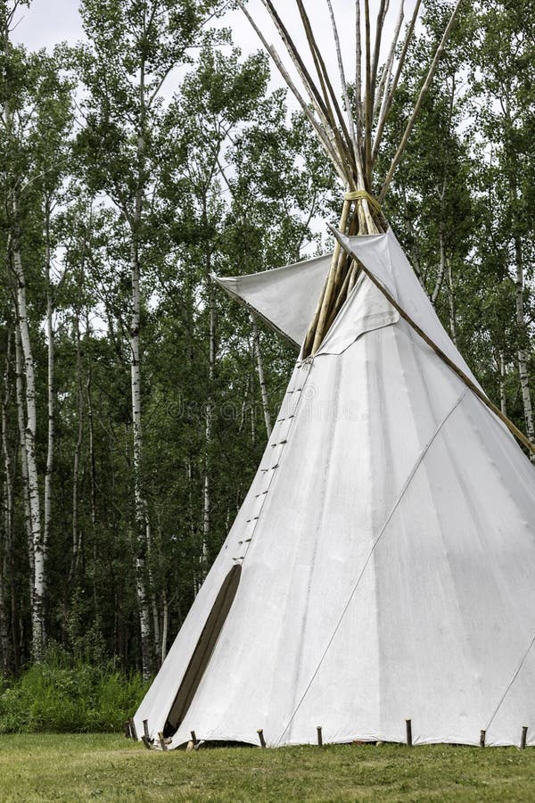An Authentic Tee Pee in the Forest Stock Photo - Image of park ...