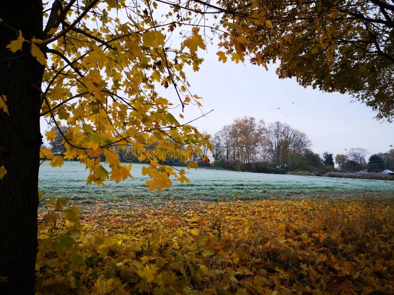 Autm stock photo. Image of windy, nice, field, autm - 169662924