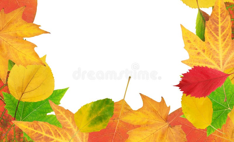 Autmn frame stock image. Image of element, backgrounds - 31280319