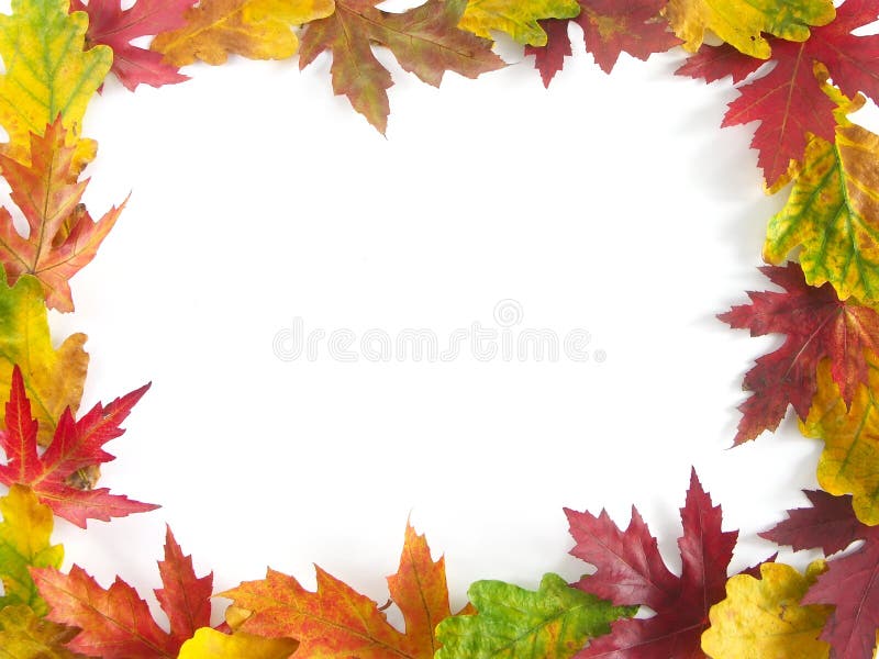 Autumn framework stock image. Image of season, cool, dead - 308269