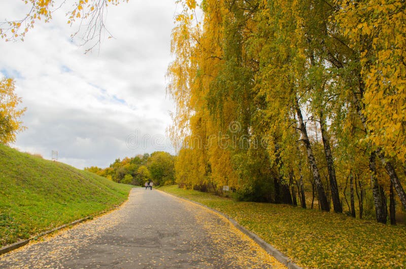 Autmn in the park stock photo. Image of outdoors, frame - 73225756