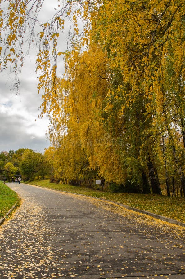 Autmn in the park stock photo. Image of orange, scene - 73225772