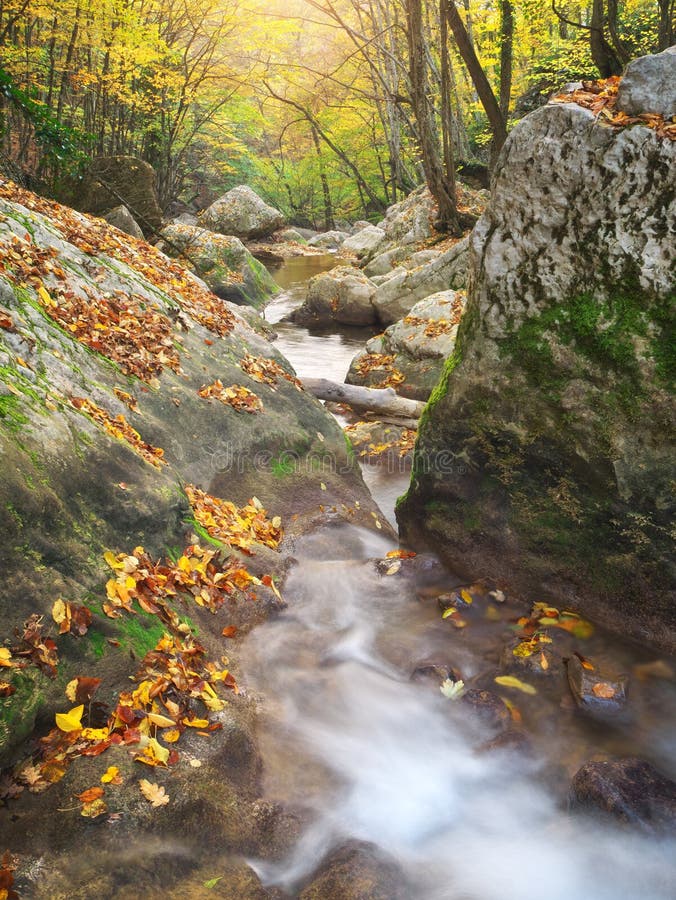 Autmn Nature stock photo. Image of nature, morninig - 166280020