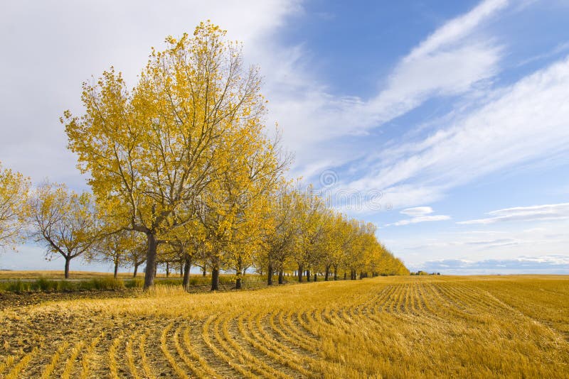 Autmun Scene stock photo. Image of environment, countryside - 22625966