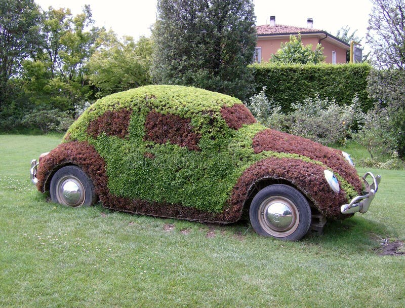 Auto stock image. Image of vehicle, tree, vintage, auto - 131922003