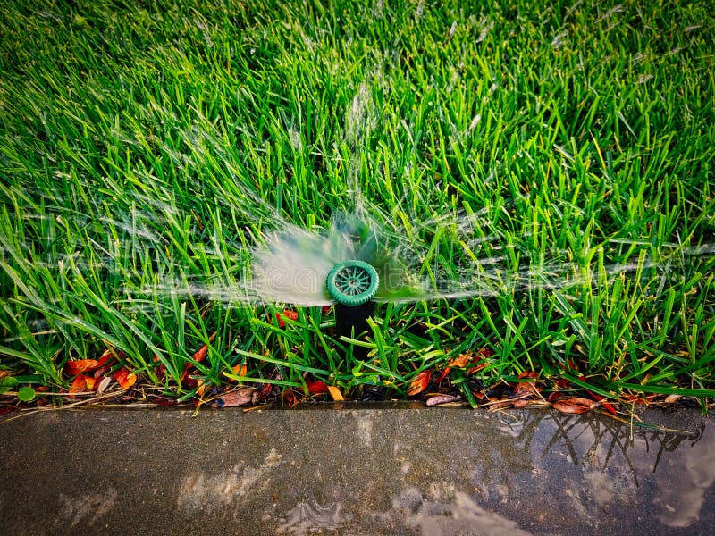 Auto Irrigation System is Working . Sprinkler is Spreading Water All ...