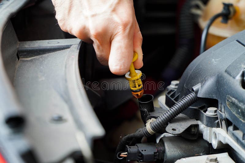 Auto Mechanic Checking the Oil Level in Car Engine,inspects Engine ...