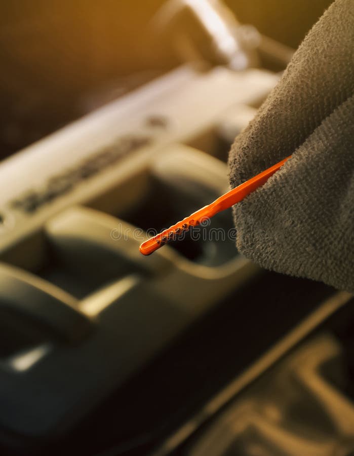 Auto Mechanic Checks the Engine Oil Level with a Car Dipstick Stock ... Auto Mechanic Checks the Engine Oil Level with a Car Dipstick Stock ...