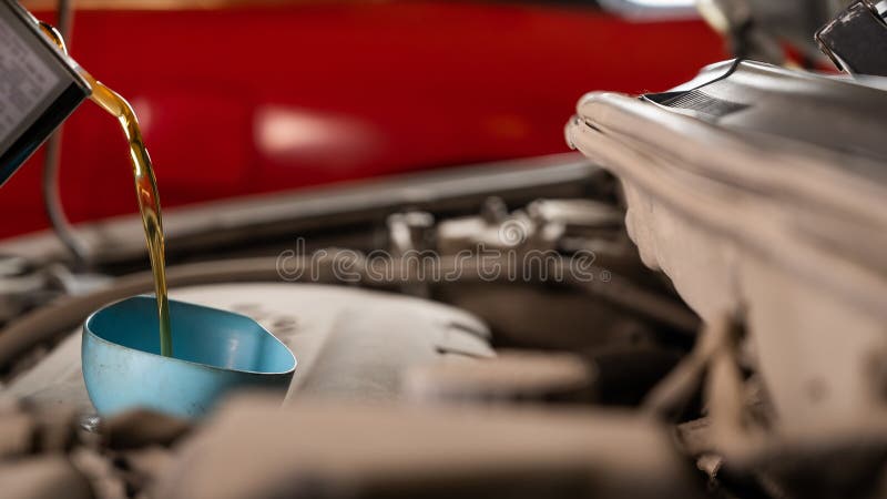 Auto Mechanic Pours Oil into a Car Engine. Stock Image - Image of ...