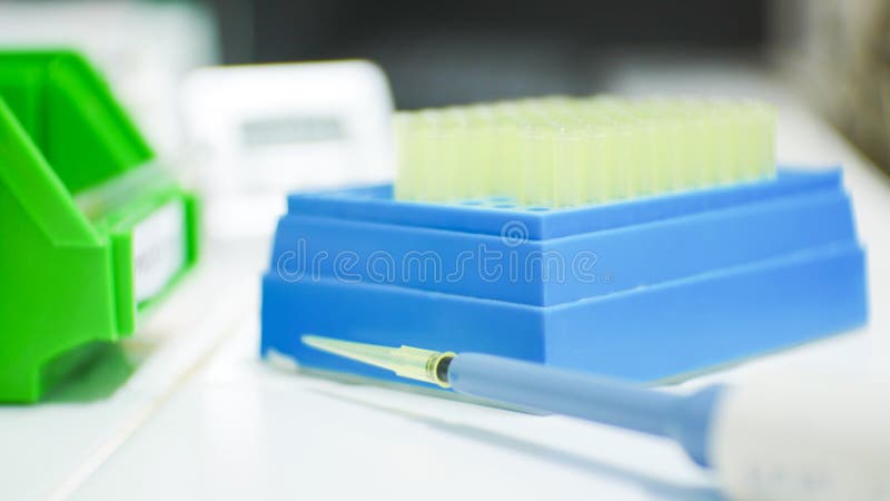 Auto Pipette and Pipette Tip in Laboratory Stock Photo - Image of ...