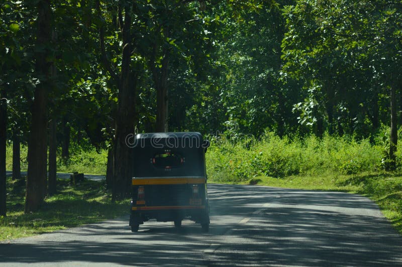 Auto Riksha Passes through the Jungle Stock Photo - Image of vehicle ...
