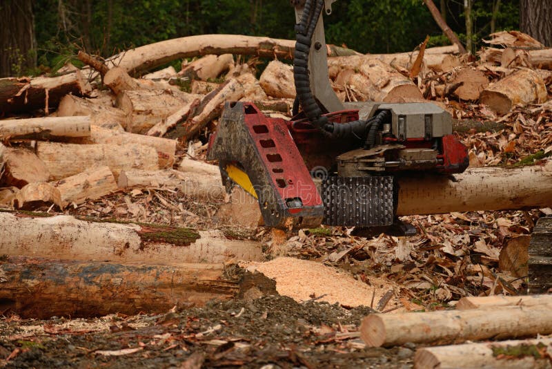 The log cutter stock image. Image of coast, south, safety - 101985665