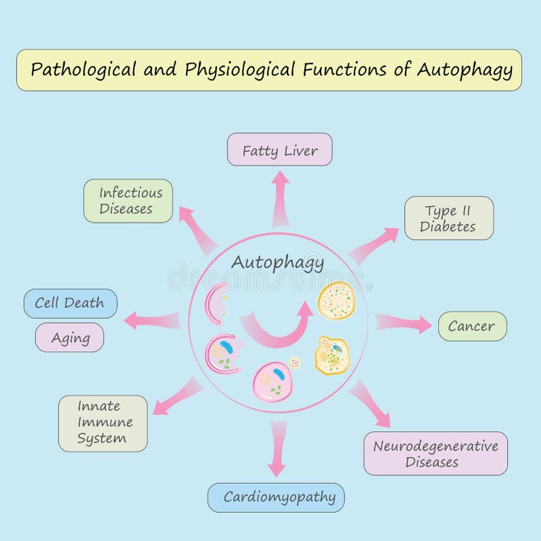 Physiological Solution Stock Illustrations – 10 Physiological Solution ...