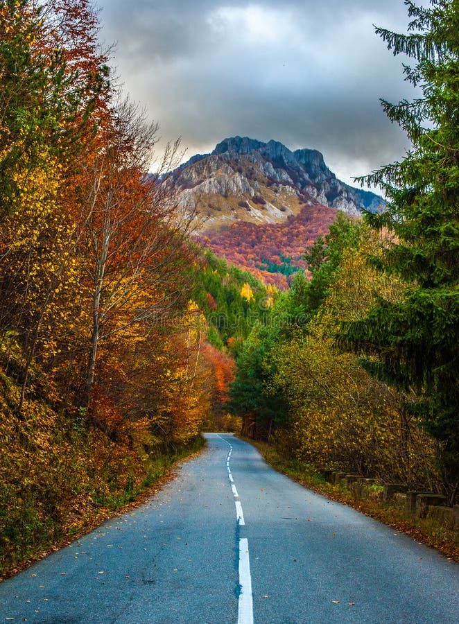 Autom stock image. Image of autumn, leafage, leaf, fall - 80781931