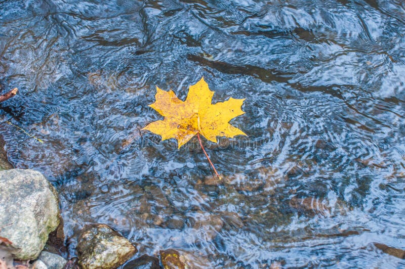 AUTOM in the water stock image. Image of magic, house - 89688741